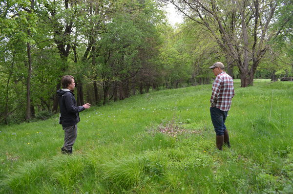 A land walk | News, Sports, Jobs - Farm News